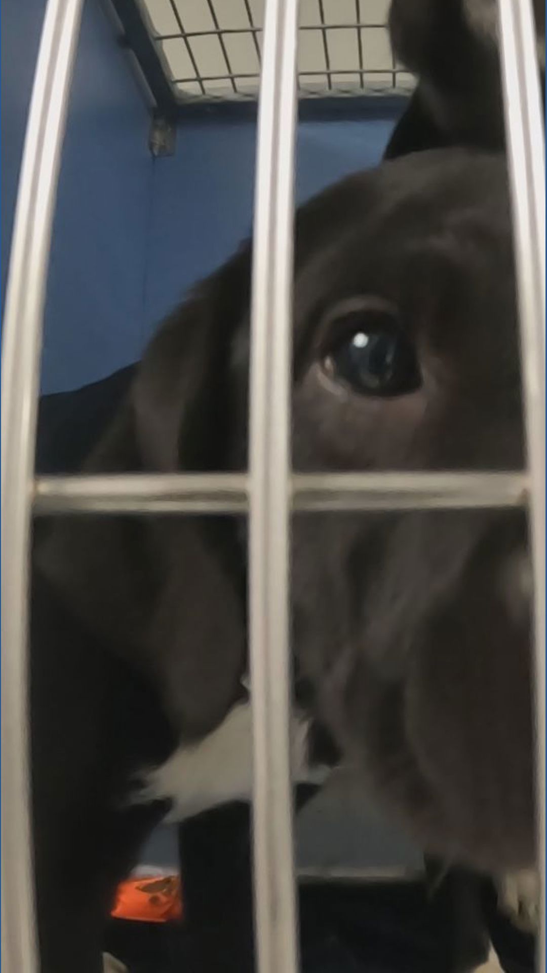 Johnny Clarke Lisa Straub killed in Ohio double murder 2011 | wtol.com