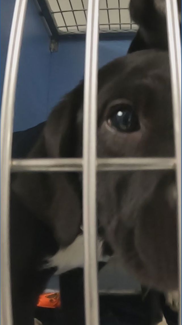 Johnny Clarke Lisa Straub killed in Ohio double murder 2011 | wtol.com