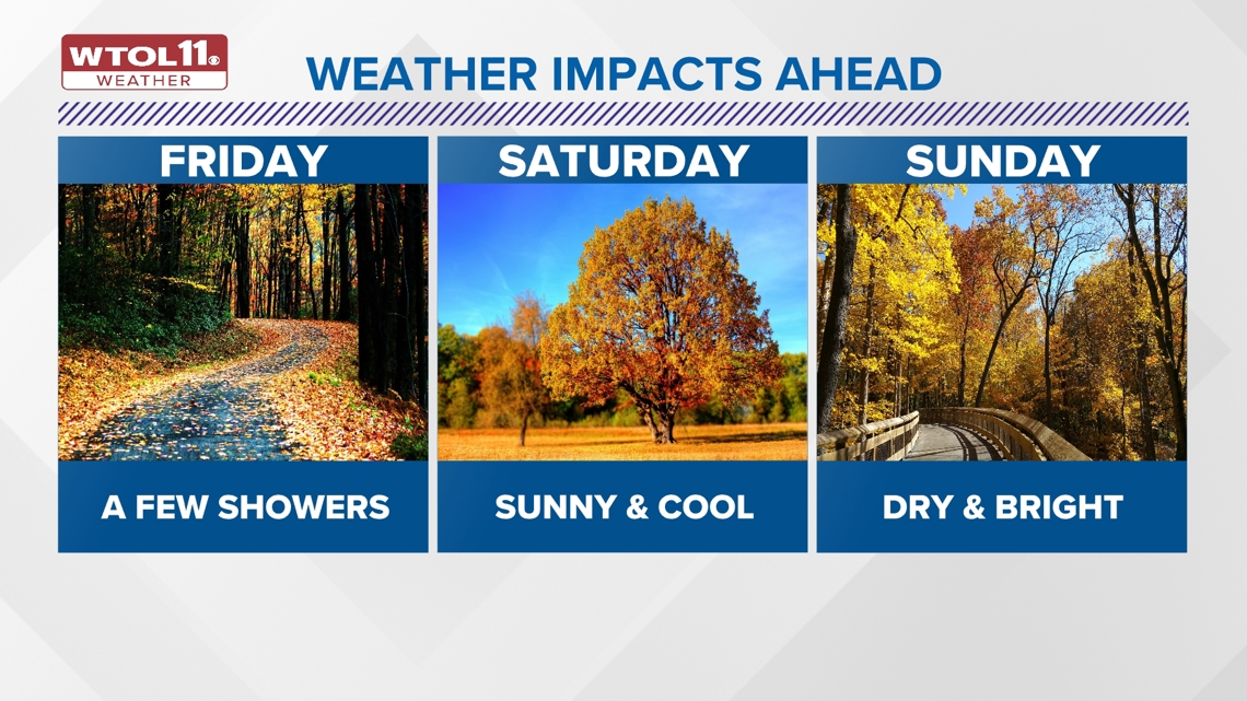 Mythical creatures museum exhibit in Ohio | wtol.com