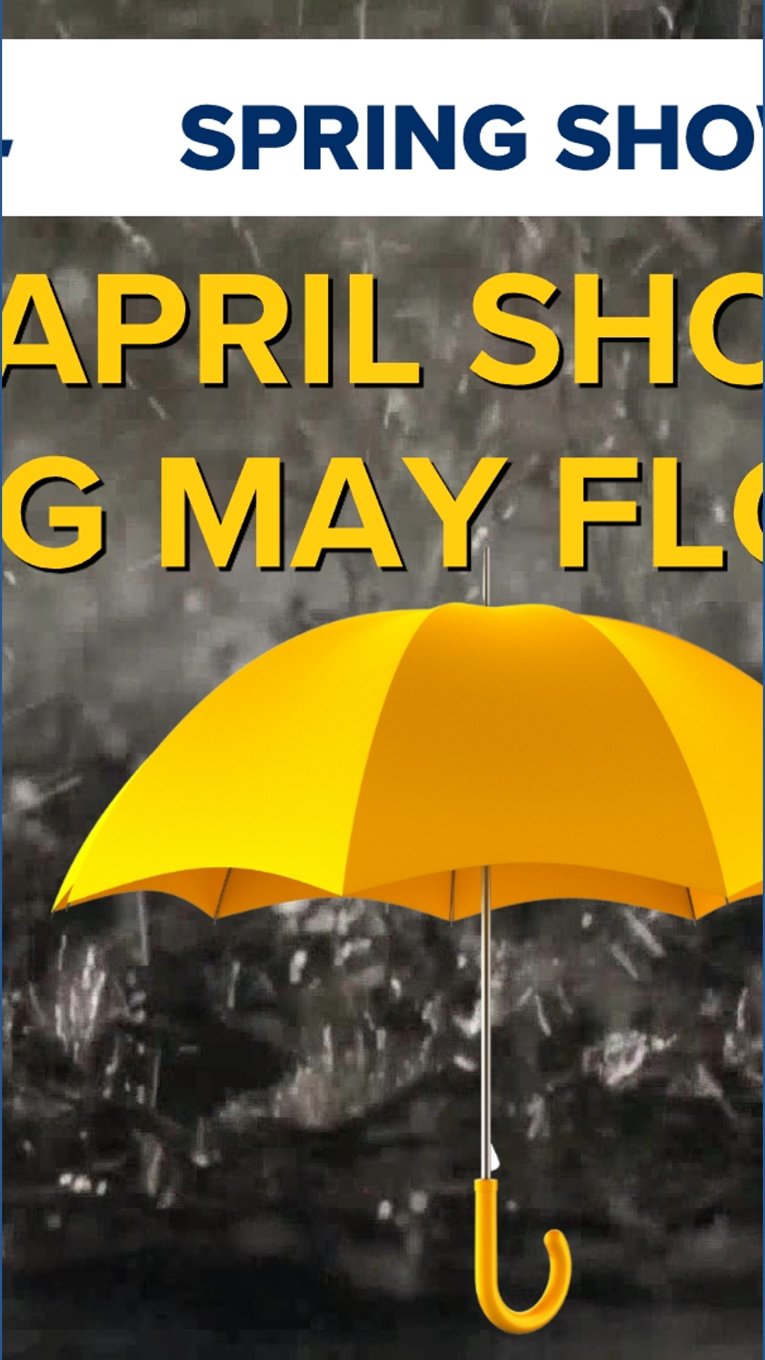 Do April showers really bring May flowers? The scientific answer | wtol.com
