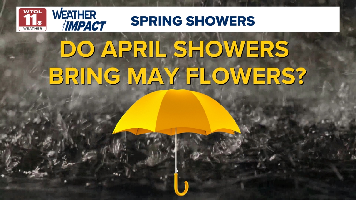 Do April showers really bring May flowers? The scientific answer | wtol.com