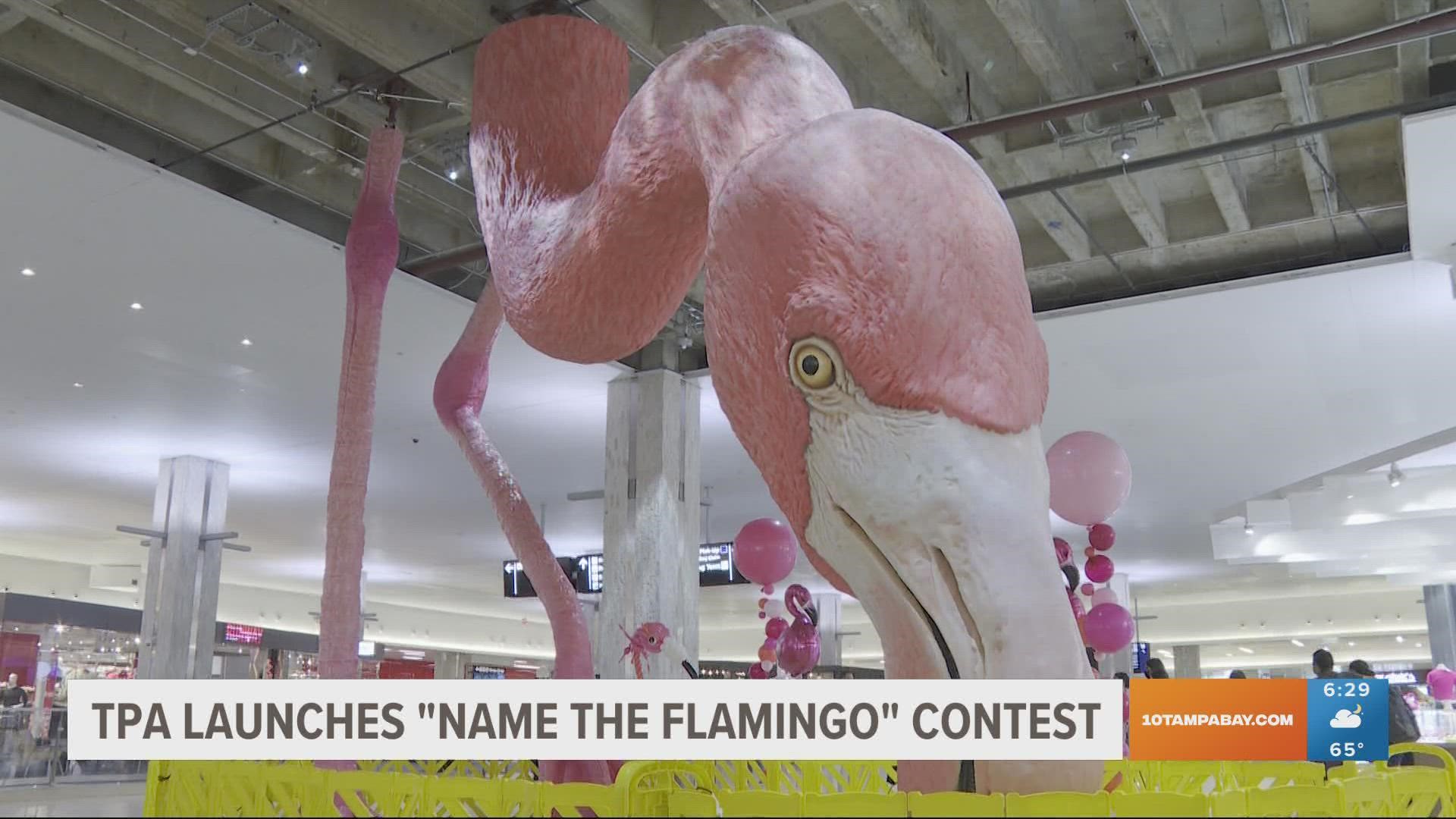Tampa airport holds contest to name flamingo sculpture | wtol.com