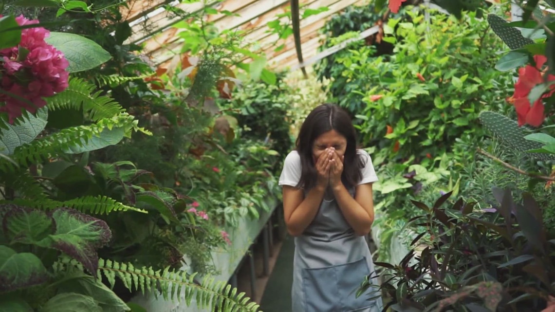 Toledo's Cook brothers serial killers behind the scenes | wtol.com