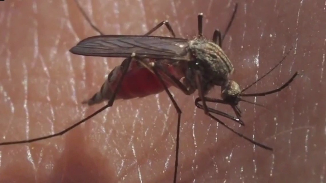 Michigan reports first human West Nile virus case in 2025 | wtol.com