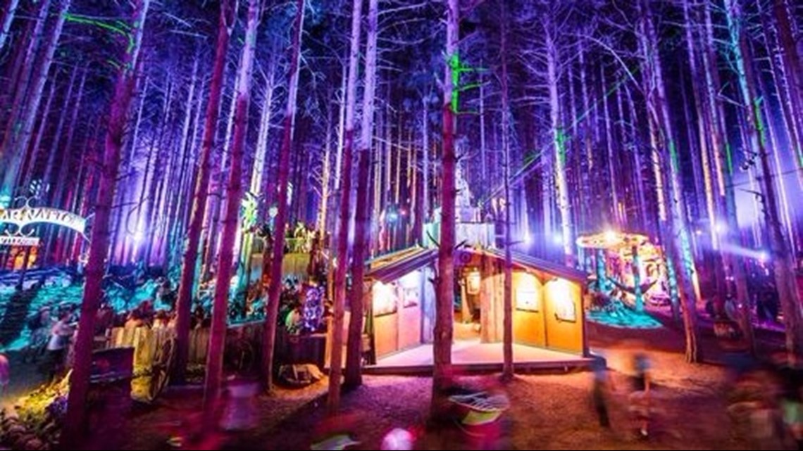 MSP shares Electric Forest traffic tips, safety reminders | wtol.com