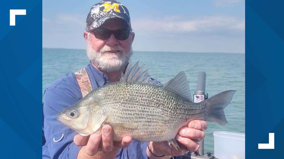 Angler lands Michigan's new white perch state record | wtol.com