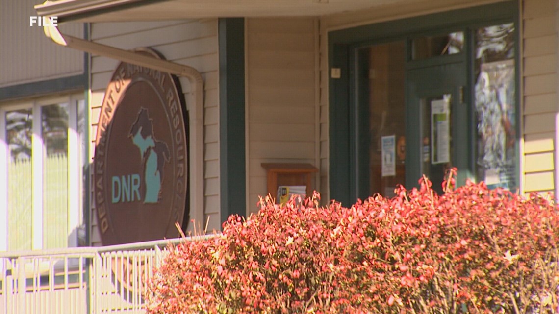 DNR introduces new deer harvest reporting requirements | wtol.com