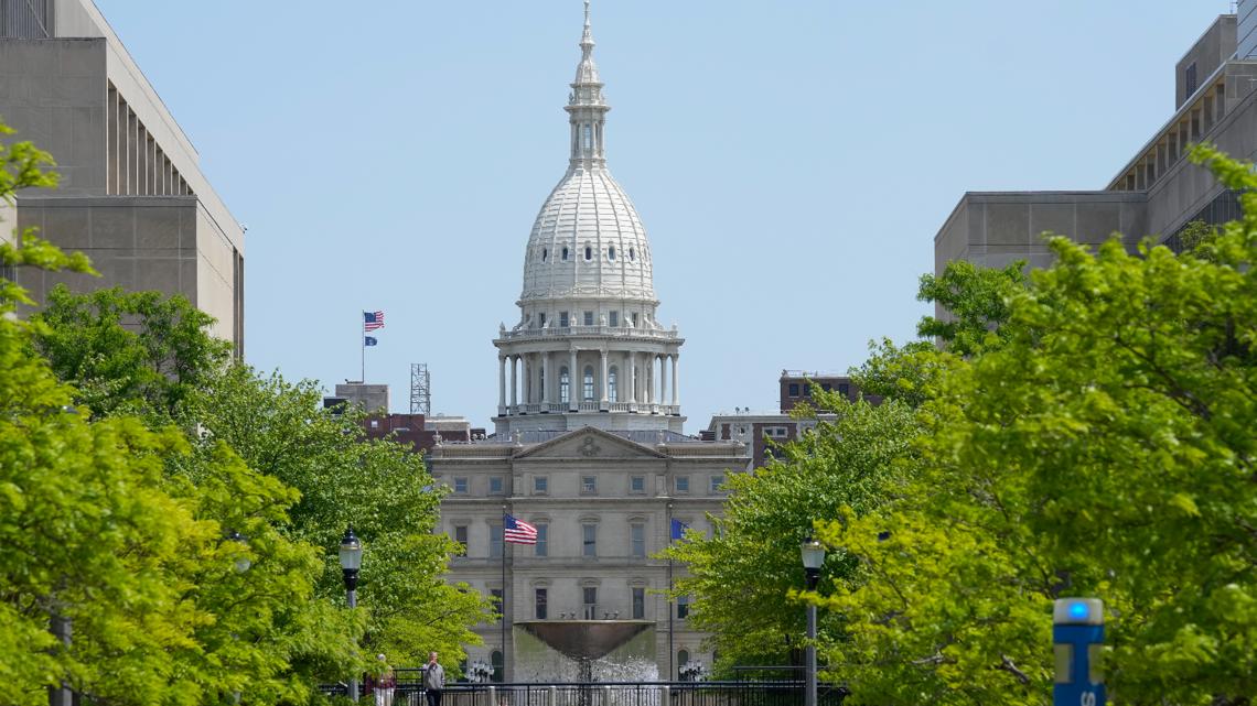 Michigan laws going into effect in 2025 | wtol.com