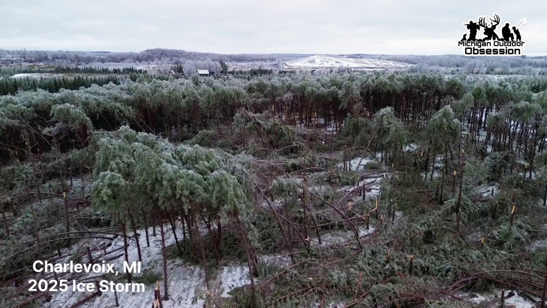 Ice storm ravages Charlevoix forest, cuts power | wtol.com