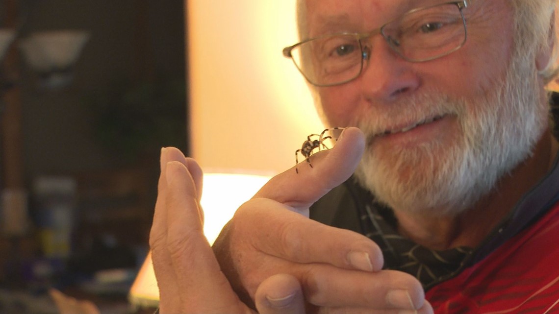 Bob the Spider Hunter works to make spider less scary | wtol.com