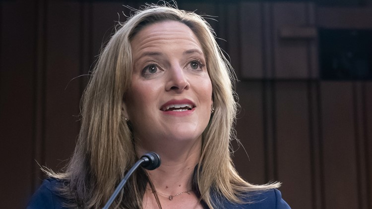 Who's running for Michigan's governor? What we know about the ...